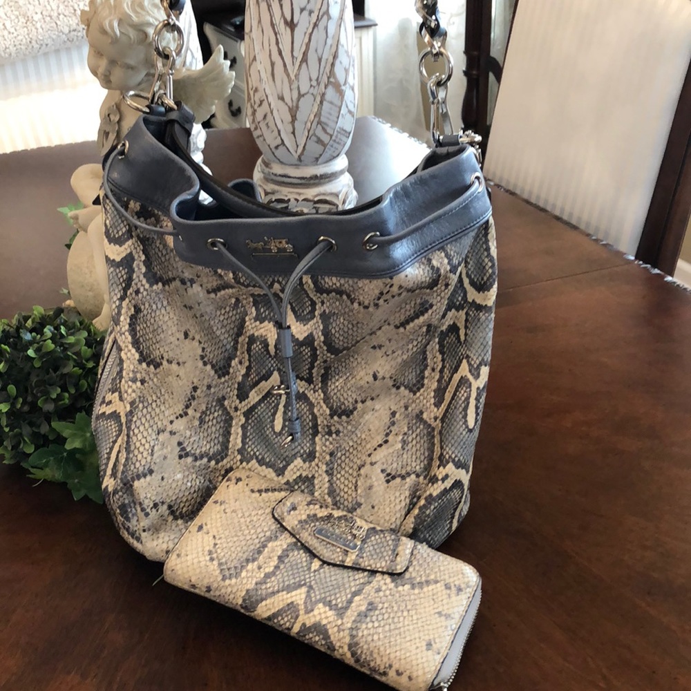 Coach Madison Python Marielle Drw Bag Withwallet - Gem